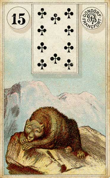 Lenormand Bear Card Meaning & Combinations - Phuture Me
